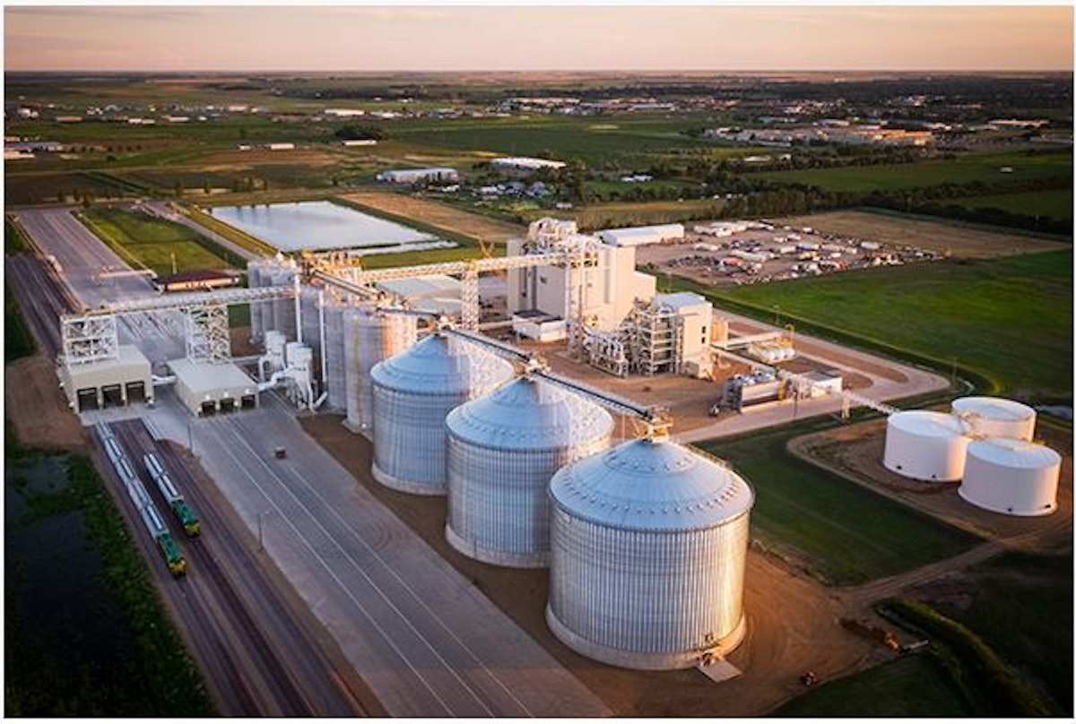 soybean plant mitchell sd